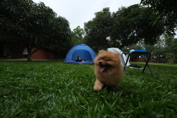 Suggee Resort 3* rates from 3 136 Rs. (76 guest reviews) Bangalore ...